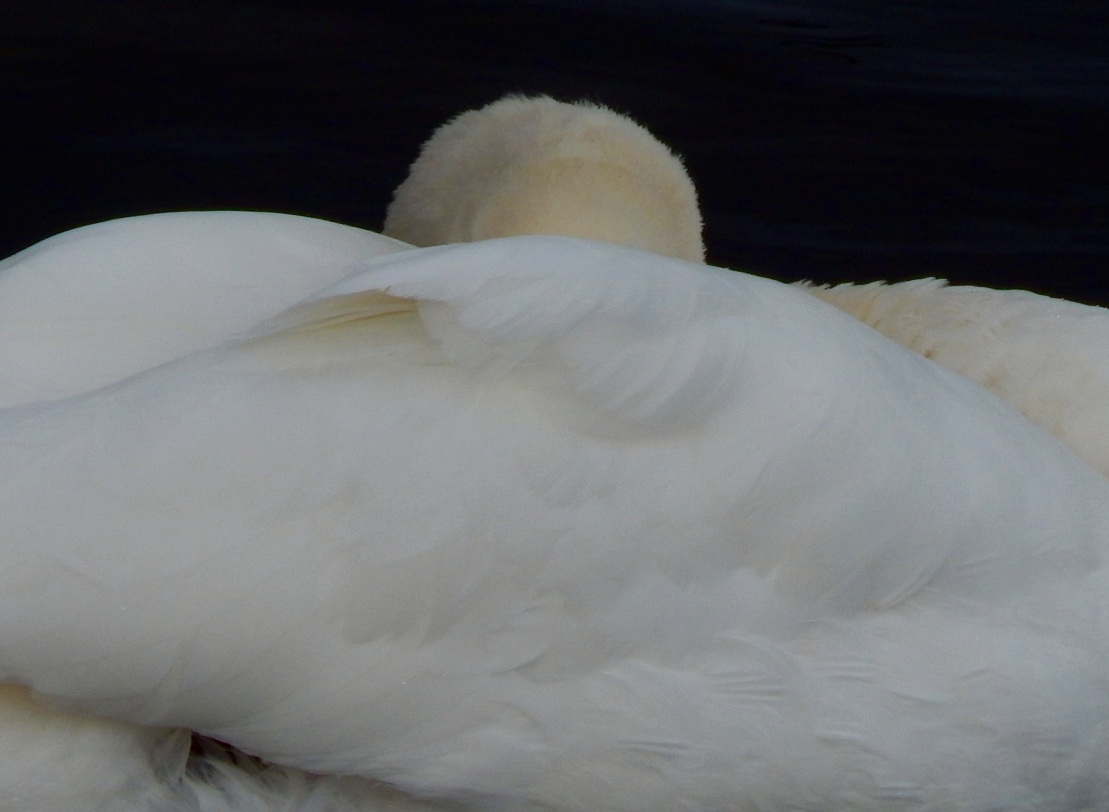 adagio | Words + Images