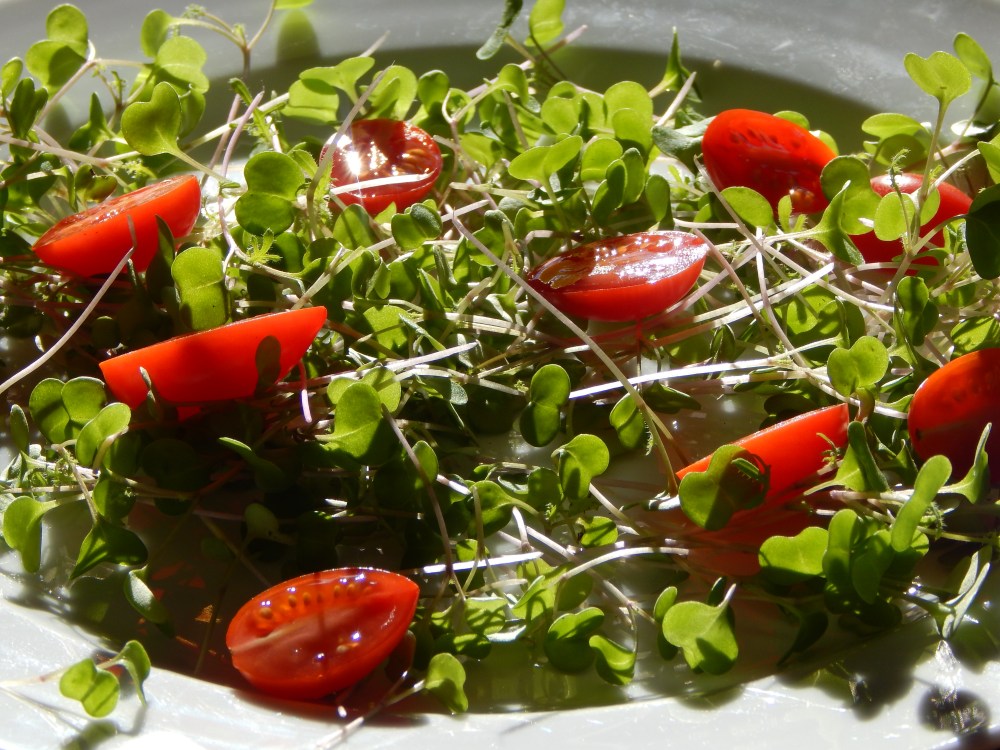 a salad in sequence | Words + Images